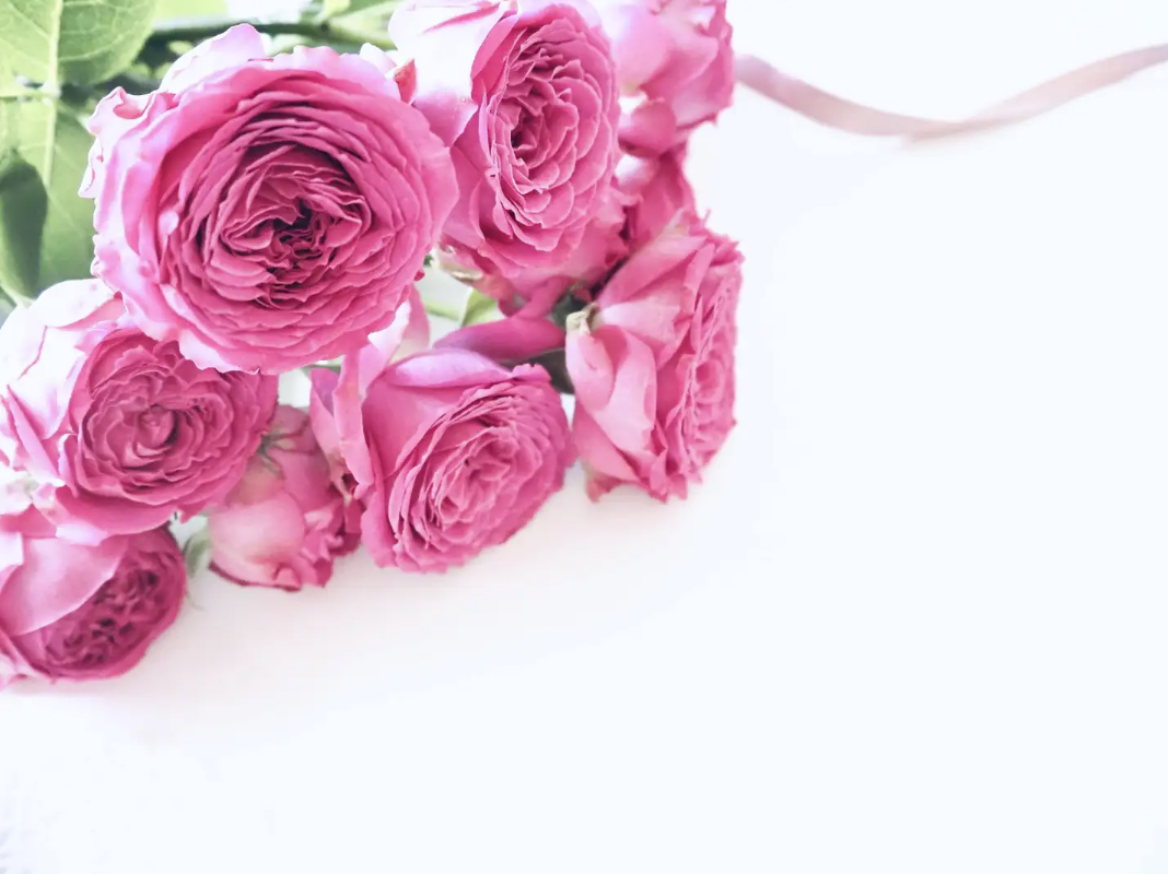 人生に大問題などない - DIVINE SOURCE